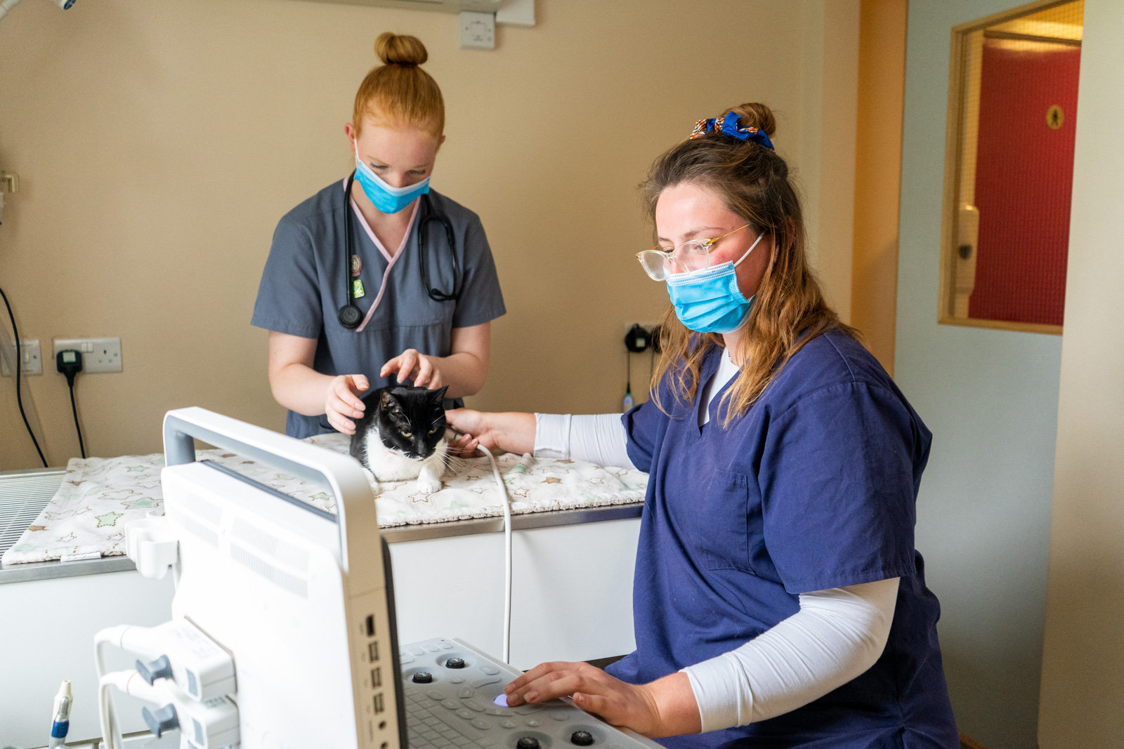 In-House Pet Diagnostics | Mark Nelson Vets